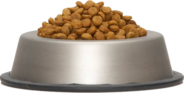Download Free Dog food ICON favicon | FreePNGimg
