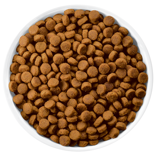 Download Free Dog food ICON favicon | FreePNGimg