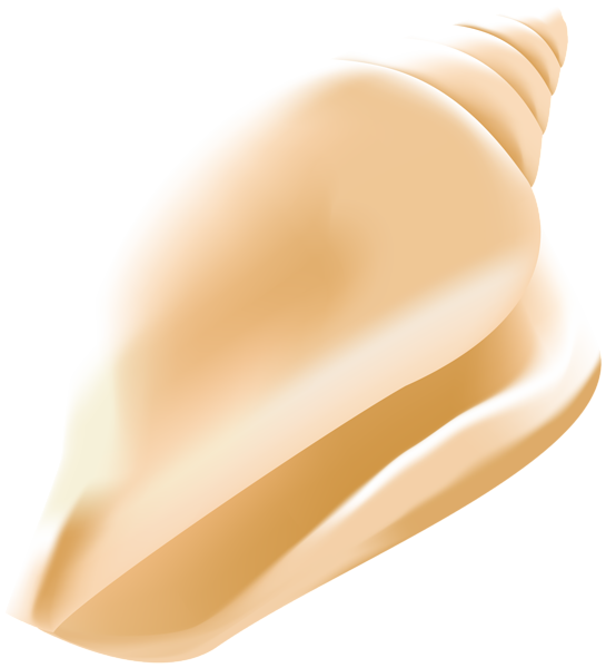 Download Free Seashell ICON favicon | FreePNGimg