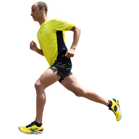 Download Organic Honeycomb Free HD Image HQ PNG Image | FreePNGImg