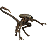 Alien Photo Transparent HQ PNG Download | FreePNGImg