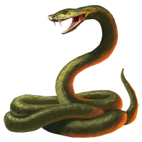 Download Anaconda Free PNG photo images and clipart | FreePNGImg