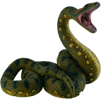 Anaconda Png Image Transparent HQ PNG Download | FreePNGImg