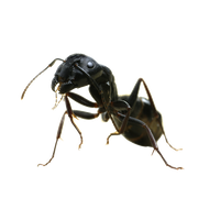 Images Mini Atm PNG File HD Transparent HQ PNG Download | FreePNGimg