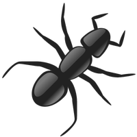 Ant Png Hd Transparent HQ PNG Download | FreePNGImg
