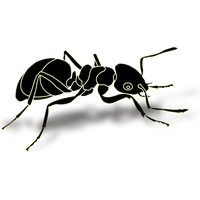 Ant Png Hd Transparent HQ PNG Download | FreePNGimg