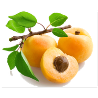 Apricot Transparent Image Transparent HQ PNG Download | FreePNGImg