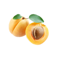Apricot Png Transparent HQ PNG Download | FreePNGimg
