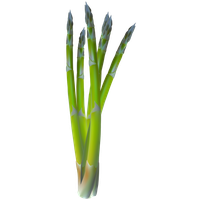 Download Asparagus Free PNG photo images and clipart | FreePNGimg