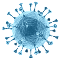 Bacteria Transparent HQ PNG Download | FreePNGimg