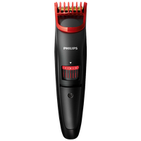 Download Bear Free PNG photo images and clipart | FreePNGimg