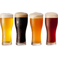 Download Beer Free PNG photo images and clipart | FreePNGimg