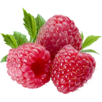 Berries Transparent Background Transparent HQ PNG Download | FreePNGImg