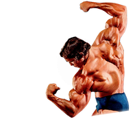 Bodybuilding Transparent Background Transparent HQ PNG Download ...