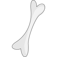 Bone Transparent Transparent HQ PNG Download | FreePNGImg