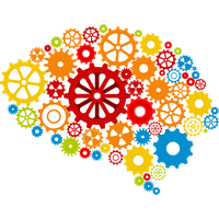 Brain Free Png Image Transparent HQ PNG Download | FreePNGimg