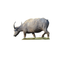 Buffalo Picture Transparent HQ PNG Download | FreePNGImg