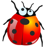 Bug Icon Transparent Transparent HQ PNG Download | FreePNGImg