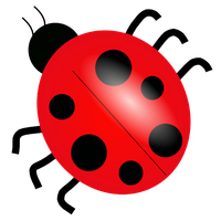 Download Bugs Free PNG photo images and clipart | FreePNGimg