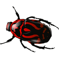 Bug Icon Transparent Transparent HQ PNG Download | FreePNGImg