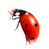 Bug Icon Transparent Transparent HQ PNG Download | FreePNGImg