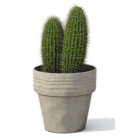 Download Cactus Free PNG photo images and clipart | FreePNGimg