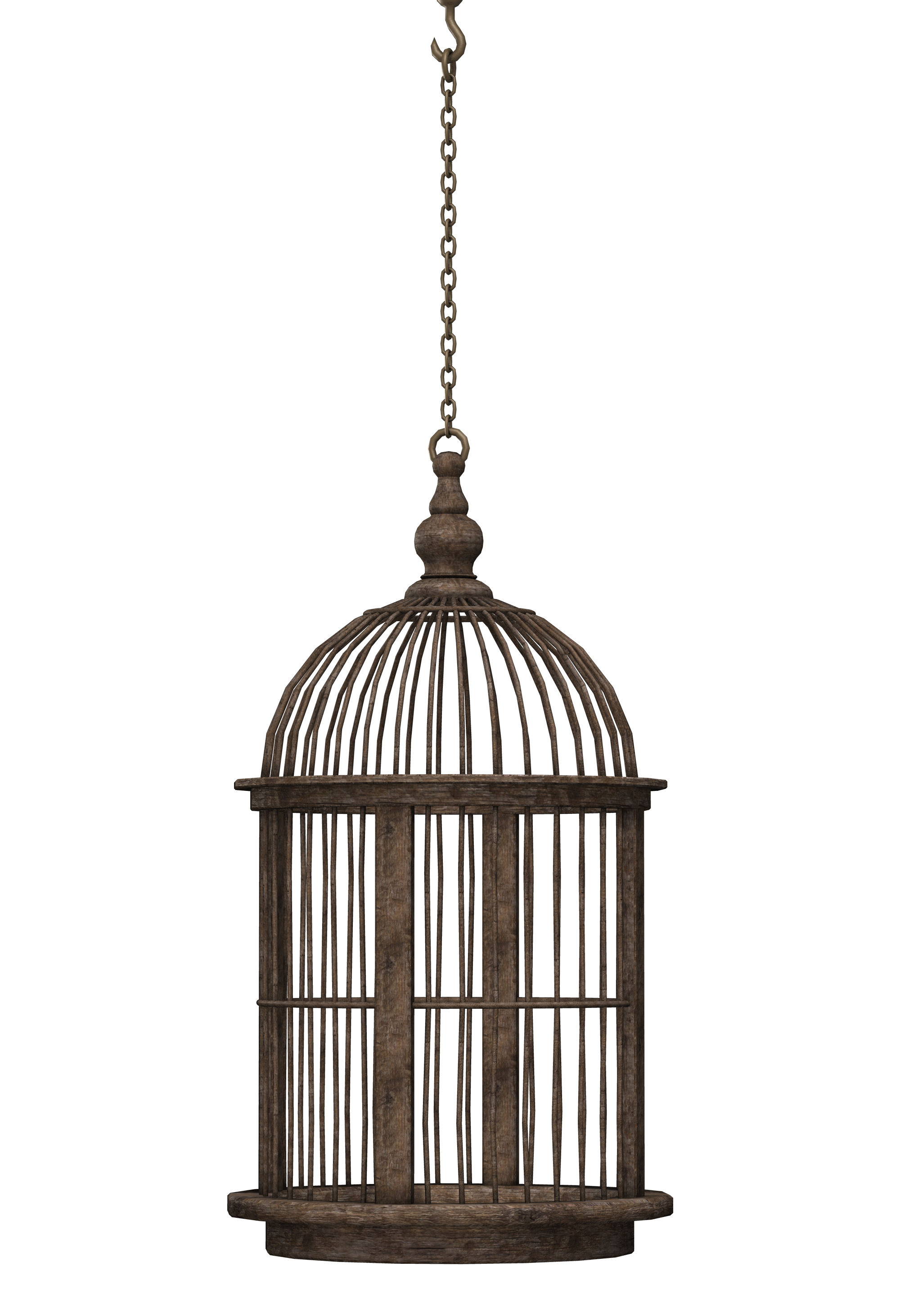 Cage bird Transparent HQ PNG Download | FreePNGimg