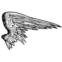 Half Wings Photos Free Download PNG HD Transparent HQ PNG Download ...