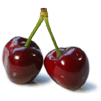 Black Cherry Clipart Transparent HQ PNG Download | FreePNGImg