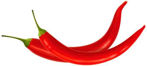 Chili pepper Transparent HQ PNG Download | FreePNGimg