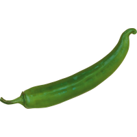 Chili pepper Transparent HQ PNG Download | FreePNGimg