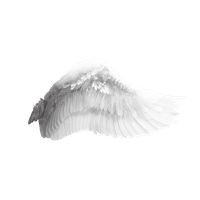 Download Church Free PNG photo images and clipart | FreePNGimg