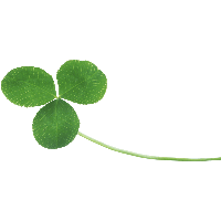 Clover Hd Transparent HQ PNG Download | FreePNGimg