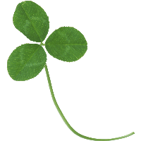 Clover Hd Transparent HQ PNG Download | FreePNGimg