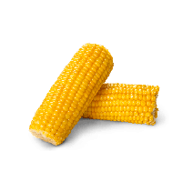 Corn Png Hd Transparent HQ PNG Download | FreePNGImg