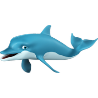 Dolphin Png Hd Transparent HQ PNG Download | FreePNGImg