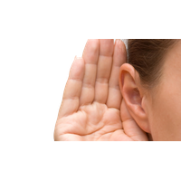 Download Ear Free PNG photo images and clipart | FreePNGimg