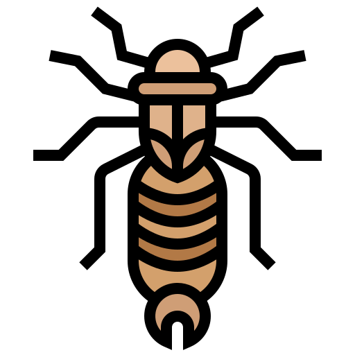 Earwig Transparent HQ PNG Download | FreePNGimg