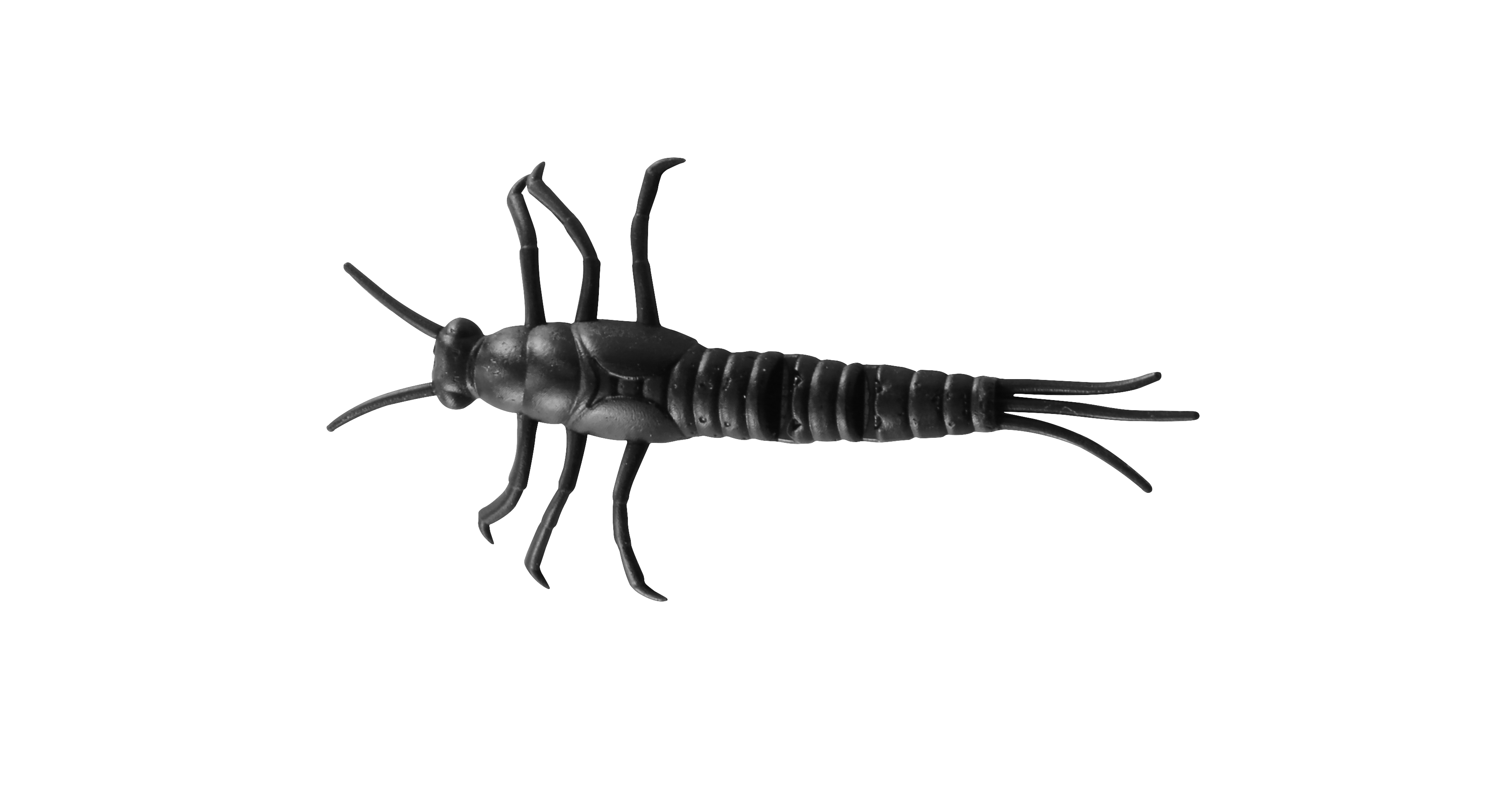 Earwig Transparent HQ PNG Download | FreePNGimg