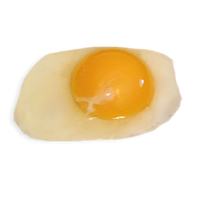 Egg Transparent HQ PNG Download | FreePNGimg