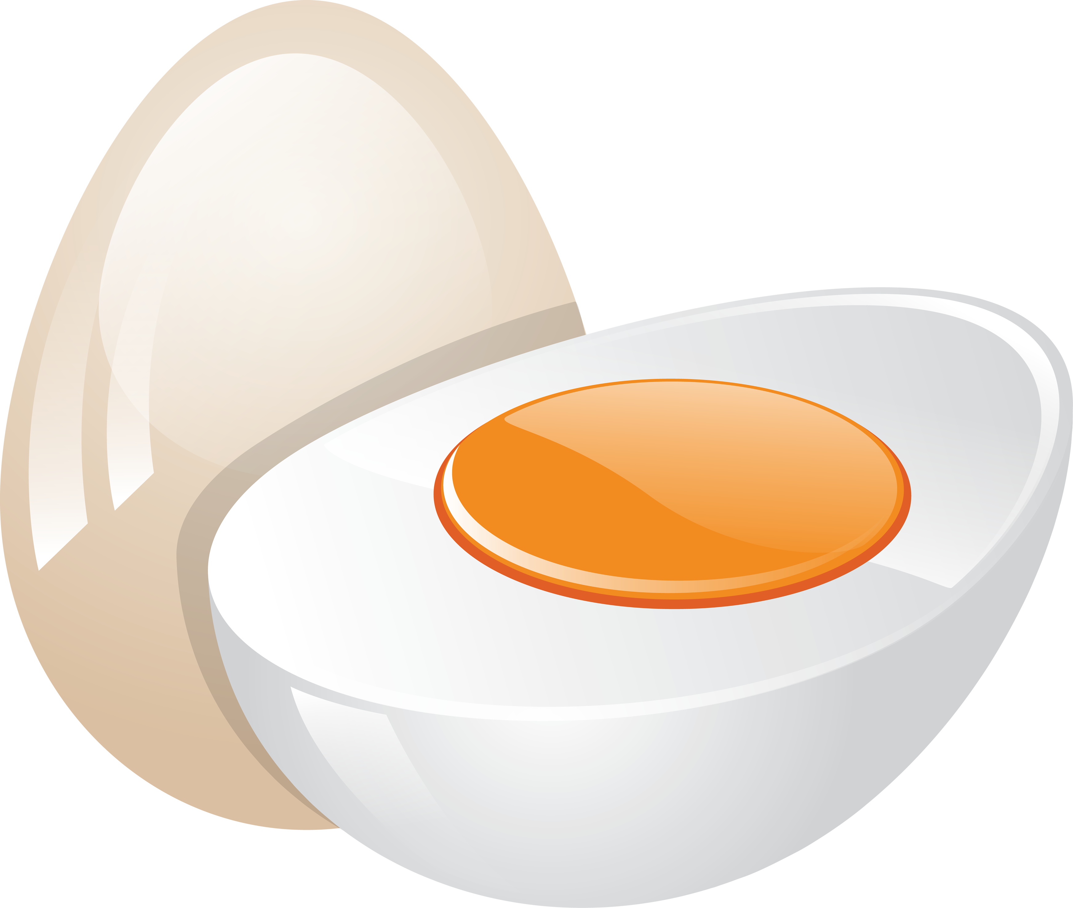 Egg Transparent HQ PNG Download | FreePNGimg