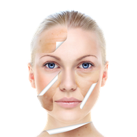 Download Face Free PNG photo images and clipart | FreePNGimg