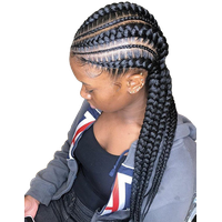 Download Black Braids Free Transparent Image HQ HQ PNG Image | FreePNGImg