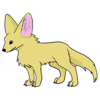Fennec Fox Transparent Background Transparent HQ PNG Download | FreePNGImg