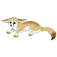 Angry Fennec Fox