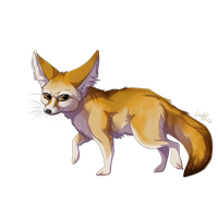 Download Fennec Fox Free PNG photo images and clipart | FreePNGimg