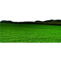 Download Field Free PNG photo images and clipart | FreePNGimg