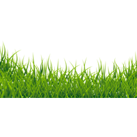 Download Field Free PNG photo images and clipart | FreePNGimg