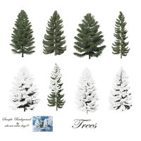 Fir-Tree Png Picture Transparent HQ PNG Download | FreePNGImg