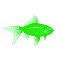 Download Fish Free PNG photo images and clipart | FreePNGimg
